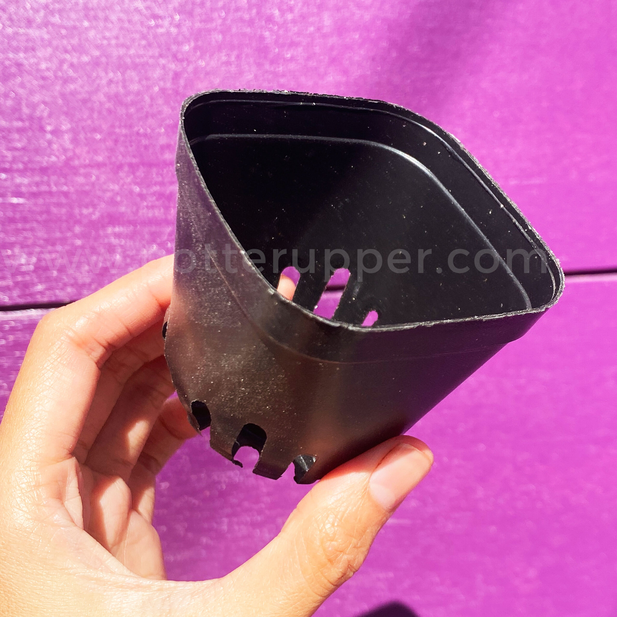 pack of 100, 2.7″ Seedling Nursery Pots, Black, Square, Propagation ...